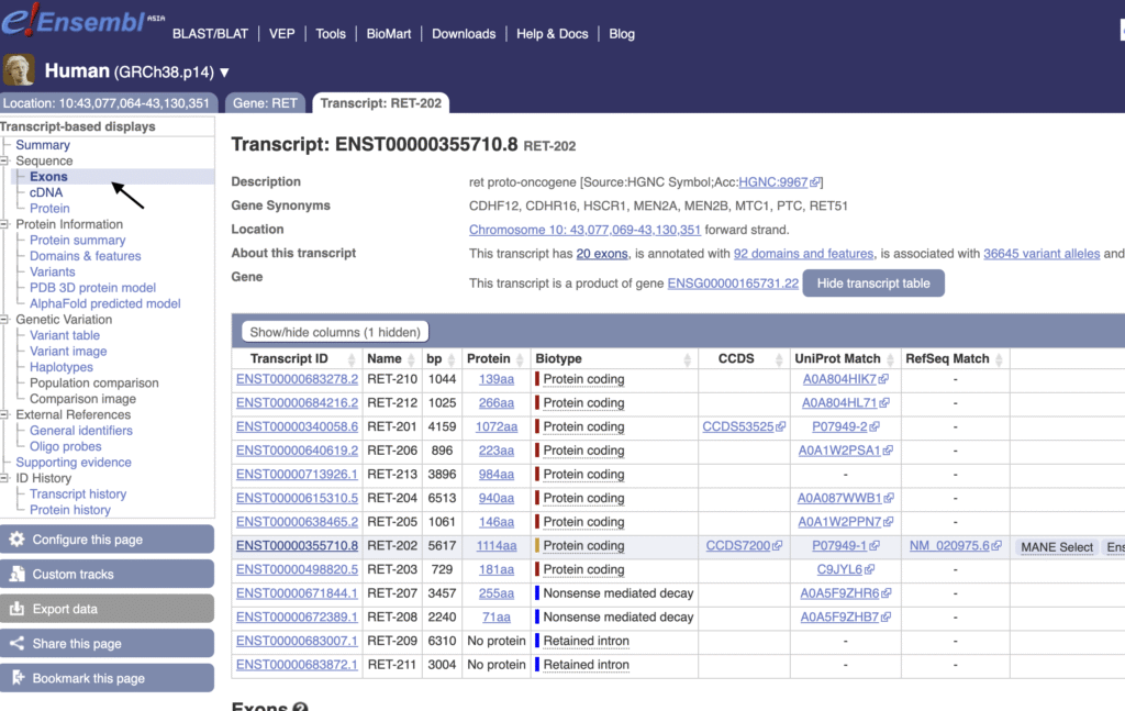 Designing Primers for PCR/Sanger Sequencing Using Ensembl and NCBI ...