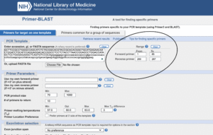 Designing Primers for PCR/Sanger Sequencing Using Ensembl and NCBI ...