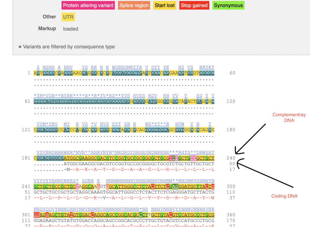 Designing Primers for PCR/Sanger Sequencing Using Ensembl and NCBI ...